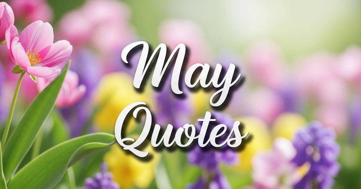 370+ Inspiring May Quotes to Brighten Your Month and Mood